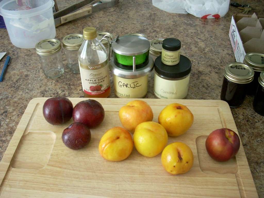 Sunday Fun: Stone Fruit Chutney | CyberCoven.org